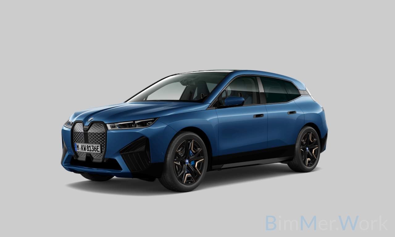 bimmer.work : Data for WBY21CF0X0CN49863