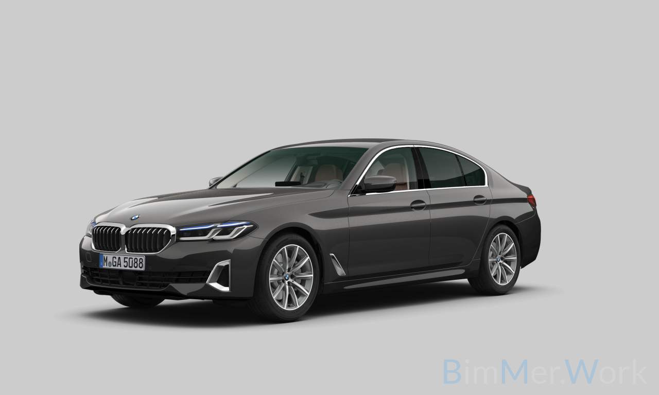 bimmer.work : Options for WBA31AH040CJ48748